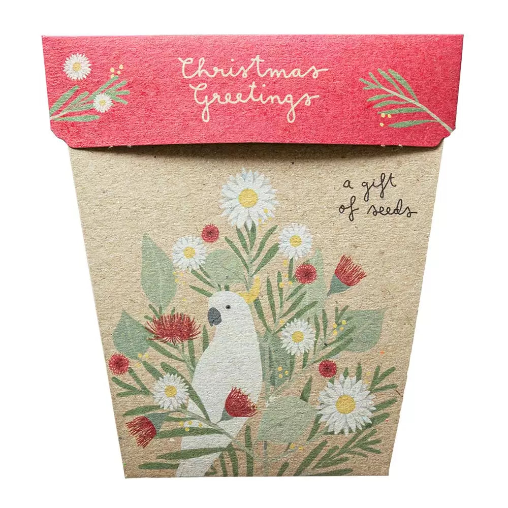 Australian Christmas Gift of Seeds – Lamington Noosa